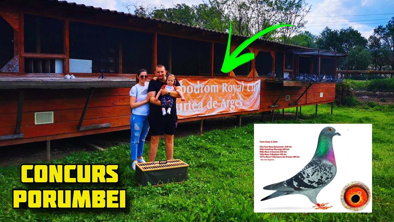 AM DUS PORUMBEII IN CURTEA DE ARGES LA COLUMBODROM! - YouTube