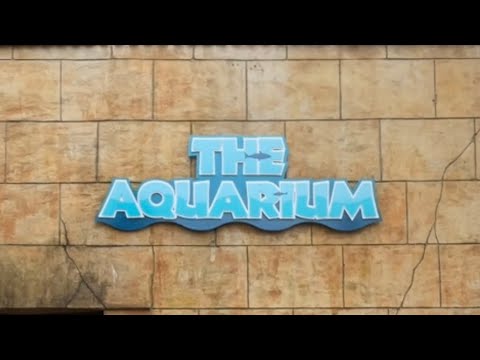The Aquarium- Flamingo Land (Full Walkthrough) - YouTube