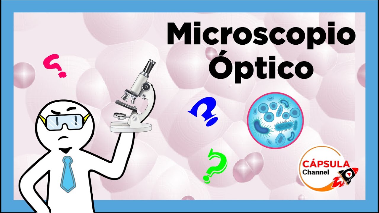Microscopio Óptico /Partes y Muestras/ FACIL y SENCILLO!!! 🔥🔥🔥 - YouTube