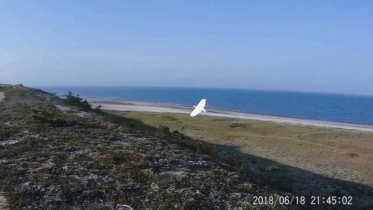 Dreamflight Alula at CC 8 30 18 Medium - YouTube