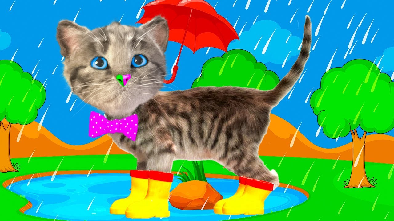 LITTLE KITTEN ADVENTURE - CAT IN REAL LIFE - MY FAVOURITE CAT AND ...