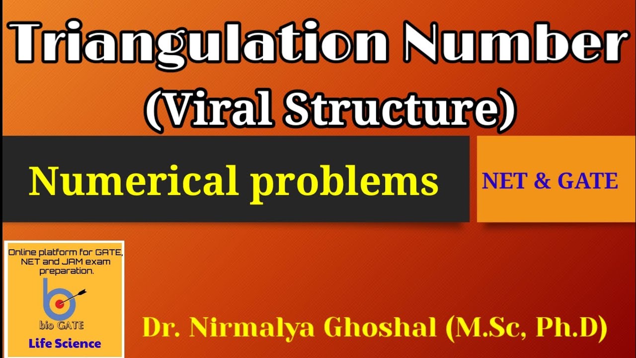 Triangulation number (Viral symmetry): Numerical problems for NET and ...