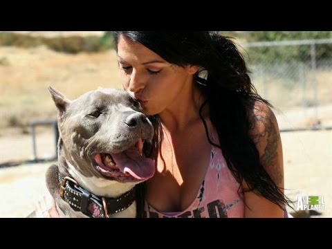 Tania's Best Friend Bluie is Sick, Hearts Break at Villalobos Rescue Center