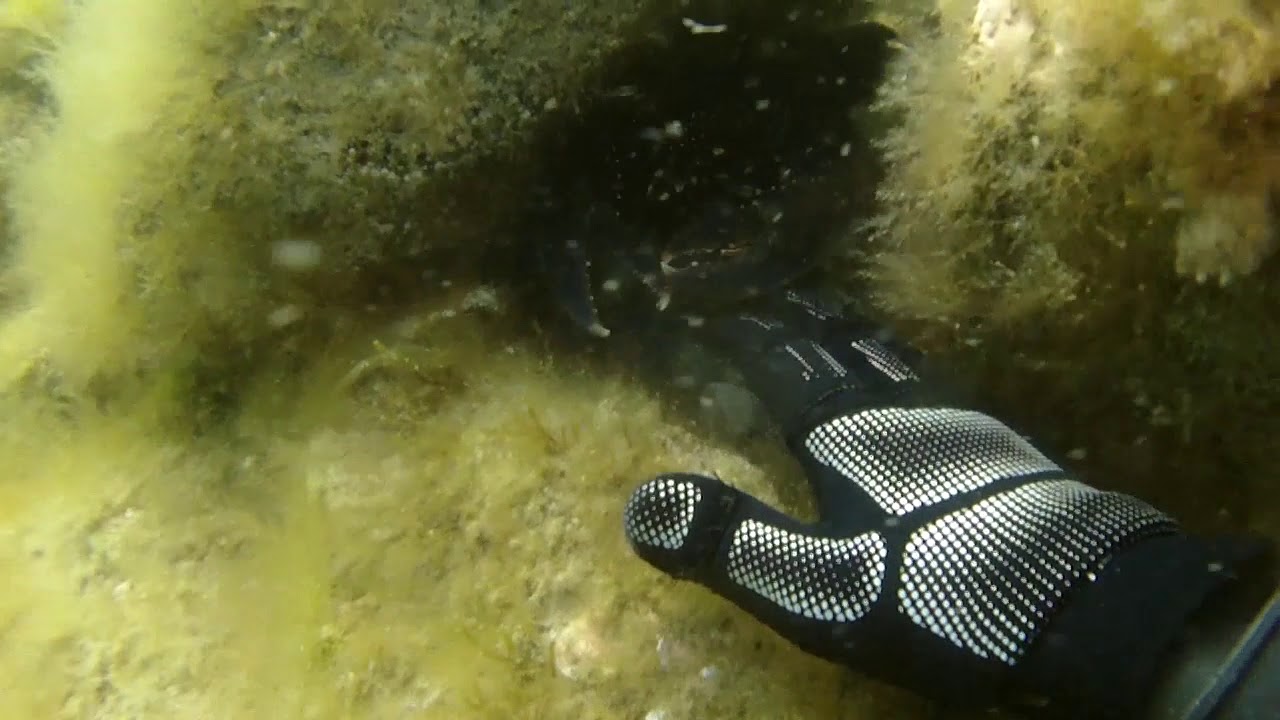 Porth Trecastle (Cable Bay) Anglesey 7 July 2018 - YouTube