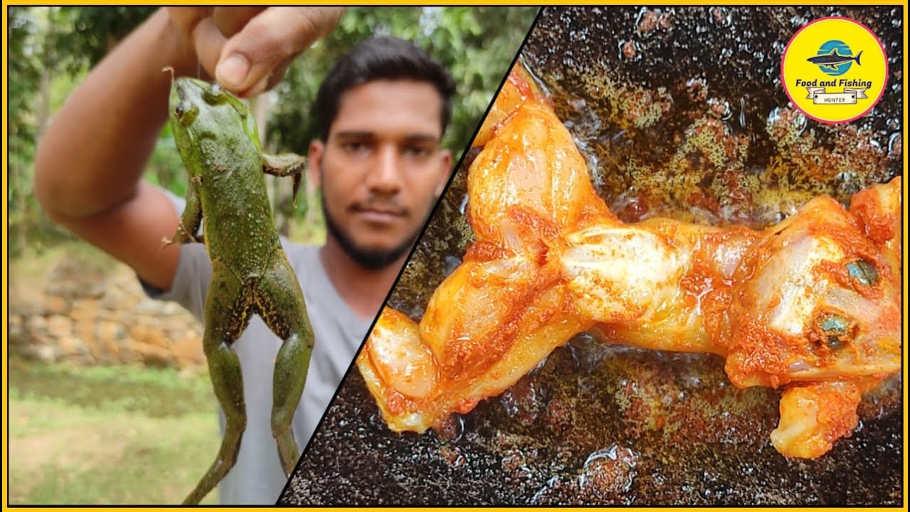 பச்சை மரத் தவளை பிடித்தல் | GREEN Frog Hunting Catch Clean & Cook |FROG ...