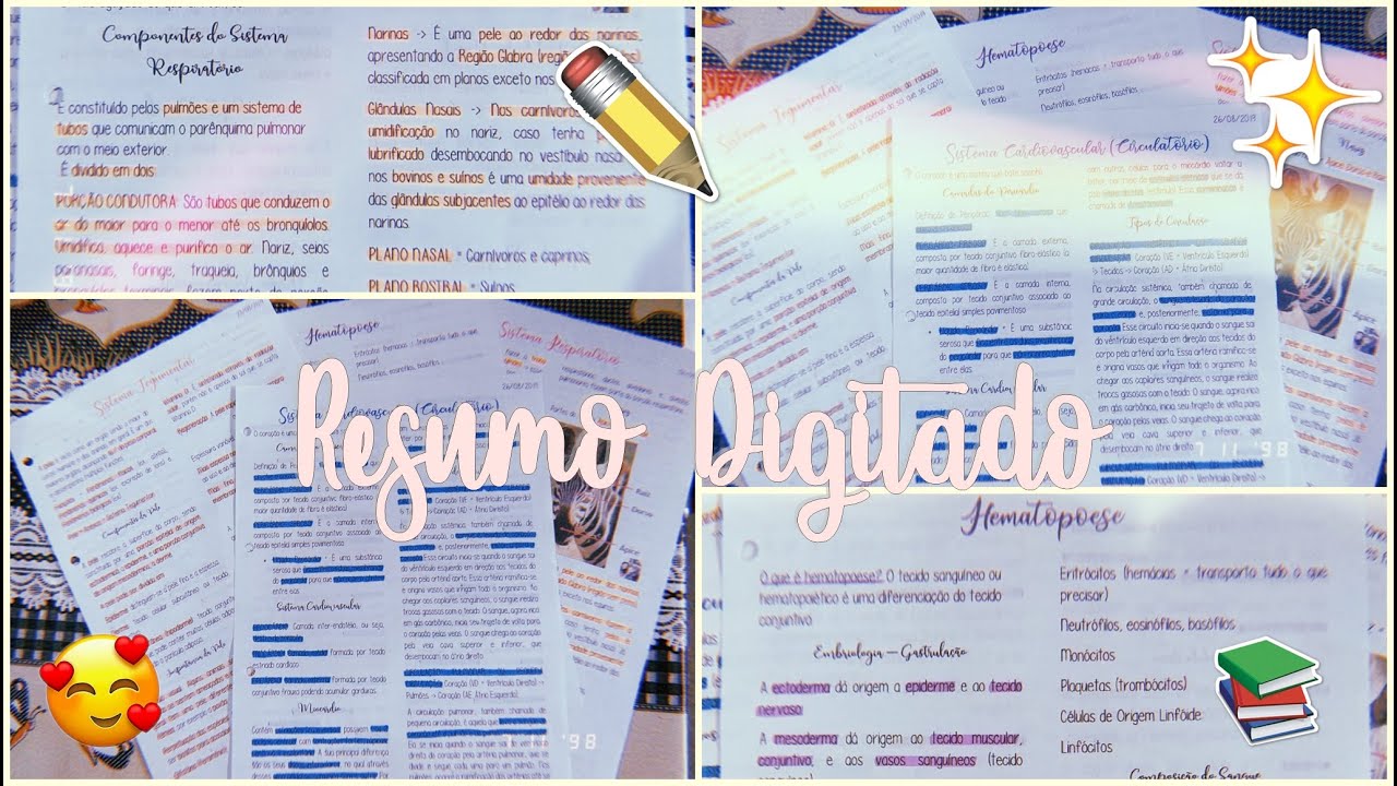 COMO EU FAÇO OS MEUS RESUMOS DIGITADOS NO WORD! | #MEDVET - YouTube