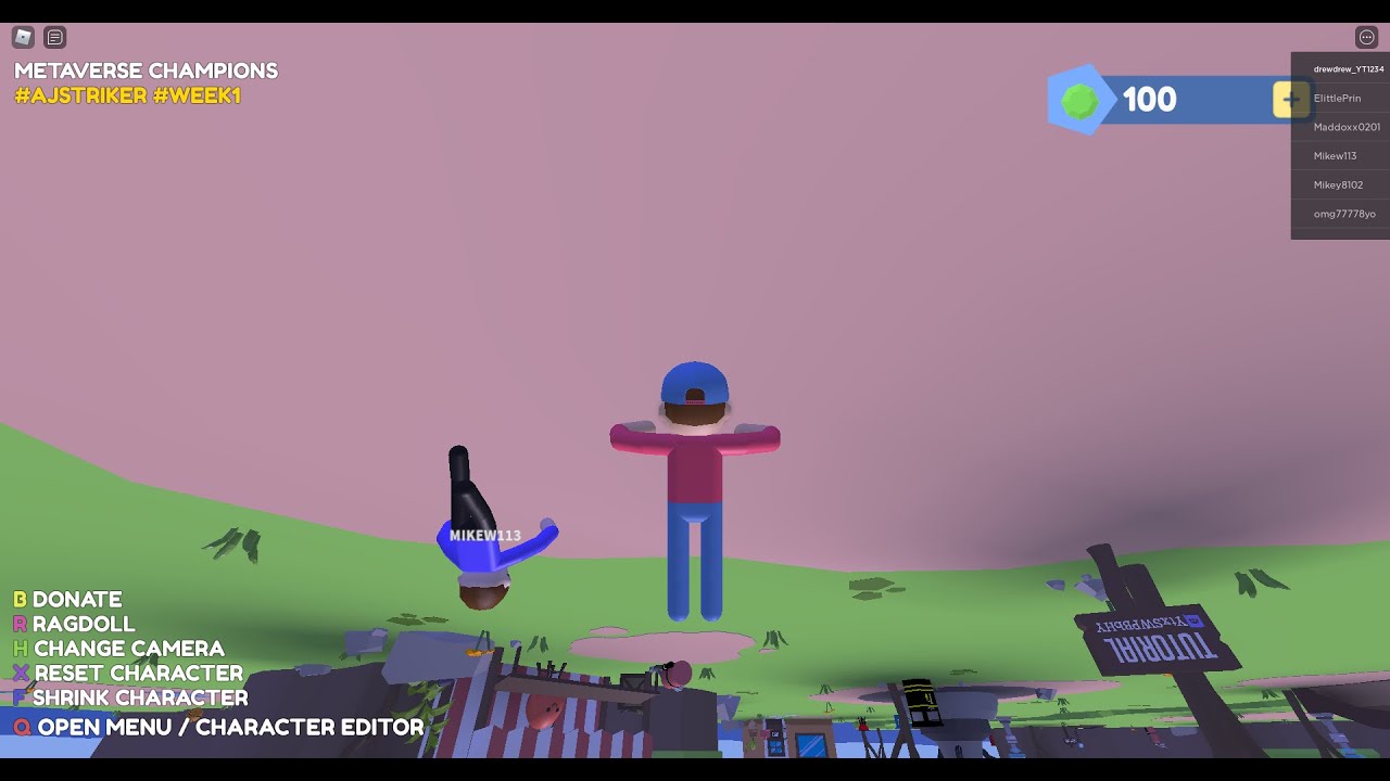 human simulator - YouTube