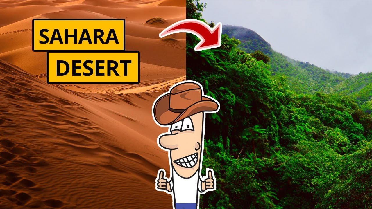 How Sahara Desert will turn into Green Forest | Explained in HINDI ...