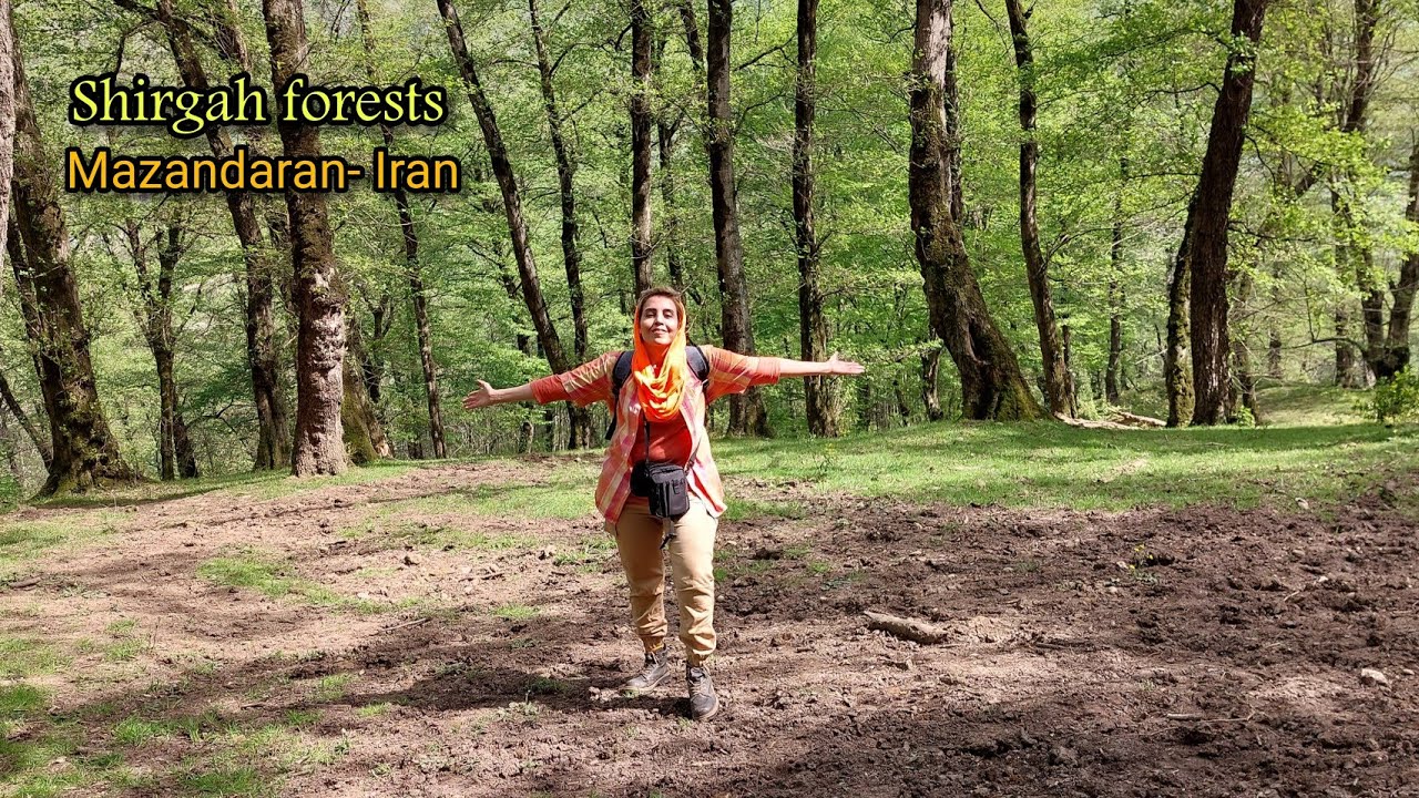 جنگلهای شیرگاه سوادکوه مازندران. Shirgah forests, Mazandaran, Iran ...
