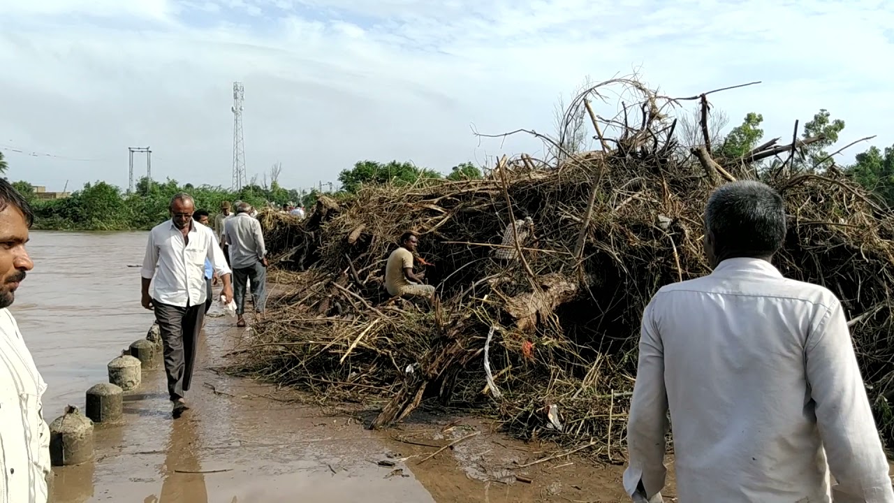 Bhadar river flood 2020 - YouTube