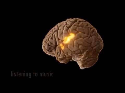 about ALEX: Meta-realistic Medical Moving Images of the Brain - YouTube