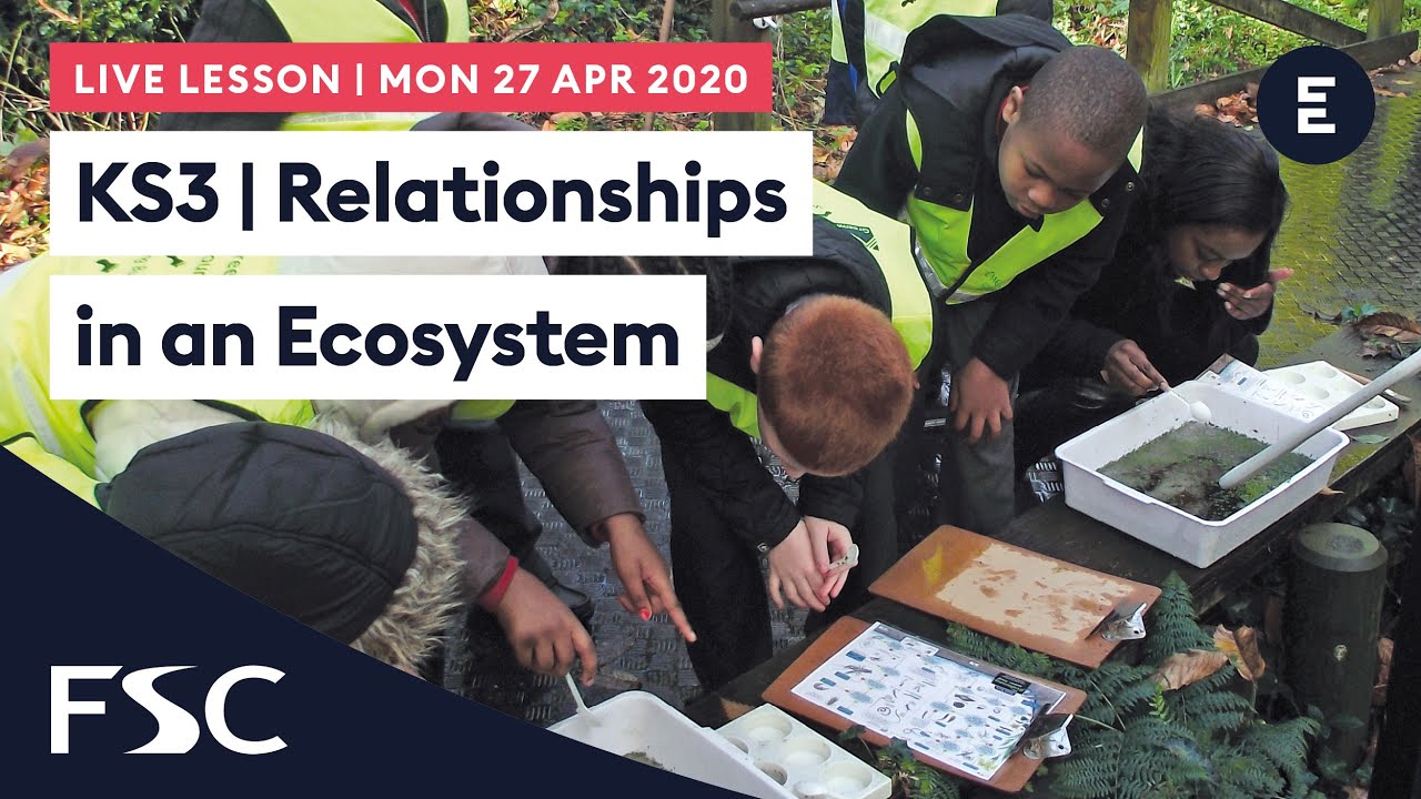 FIELDWORK LIVE - KS3 | Relationships in an Ecosystem - YouTube