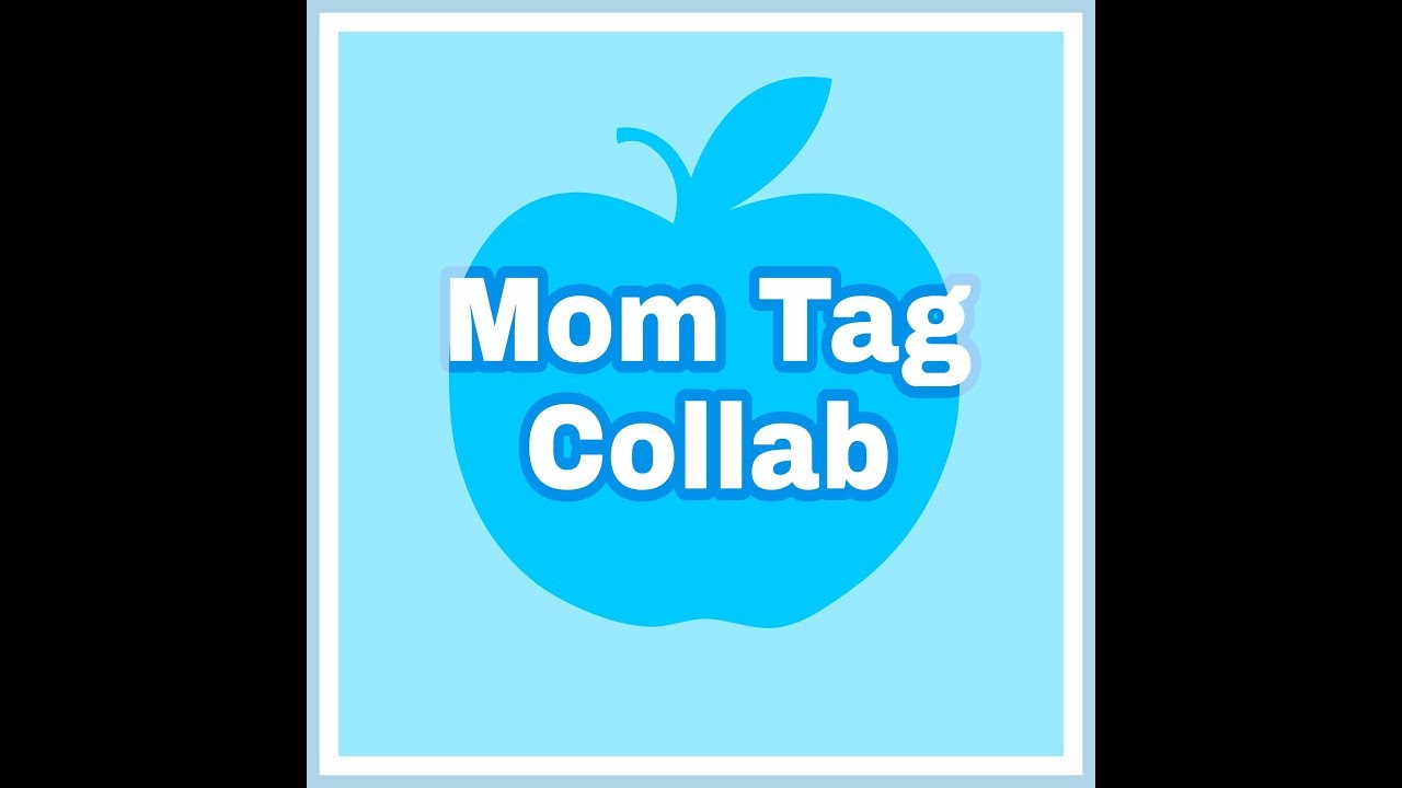 Home School Mom Tag... - YouTube