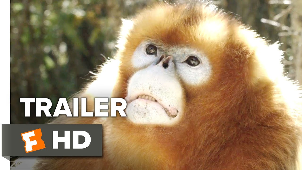 Born in China 'Earth Day' TRAILER (2017) - Disneynature Documentary HD ...
