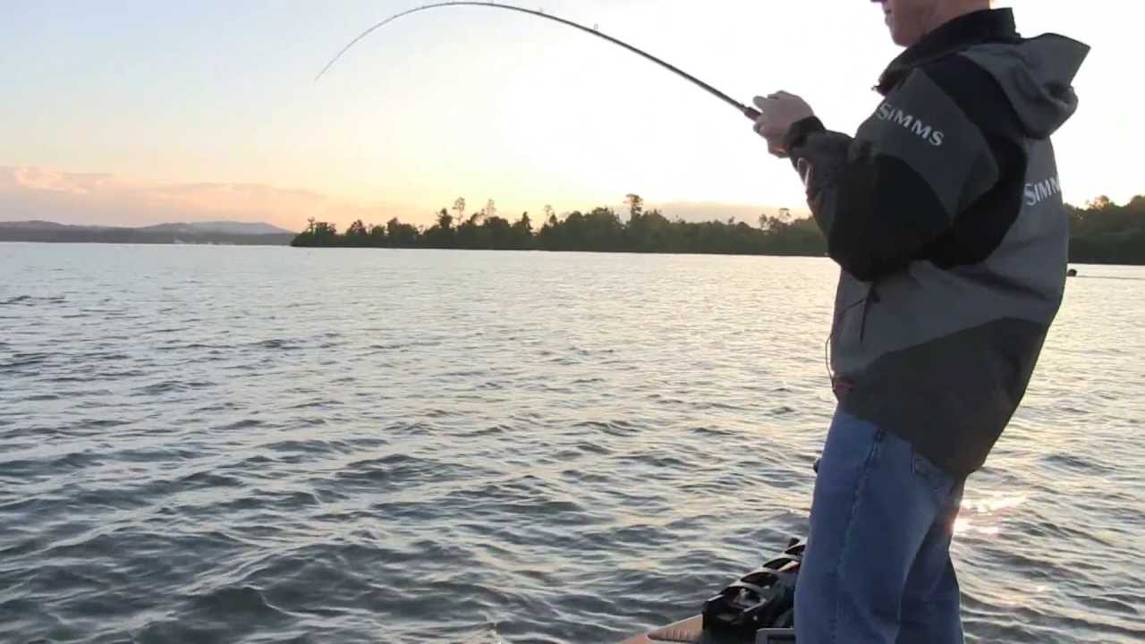 DUO Realis Bassmaster pro Kevin Hawk introduces Realis Jerkbait 100SP ...