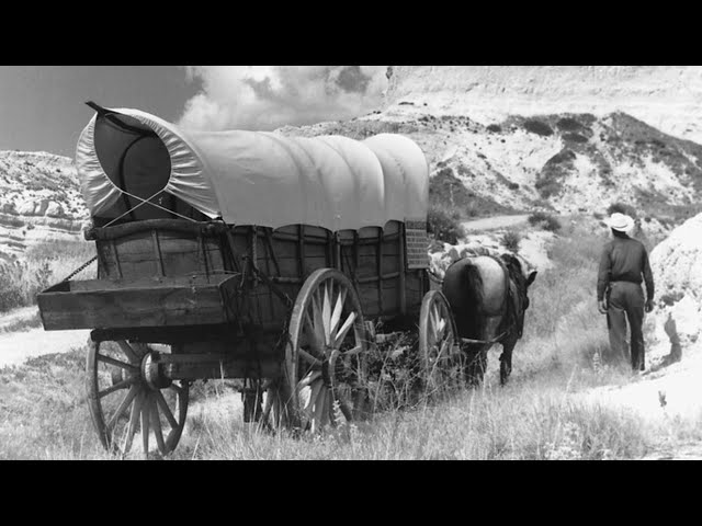 Oregon Trail Pioneers