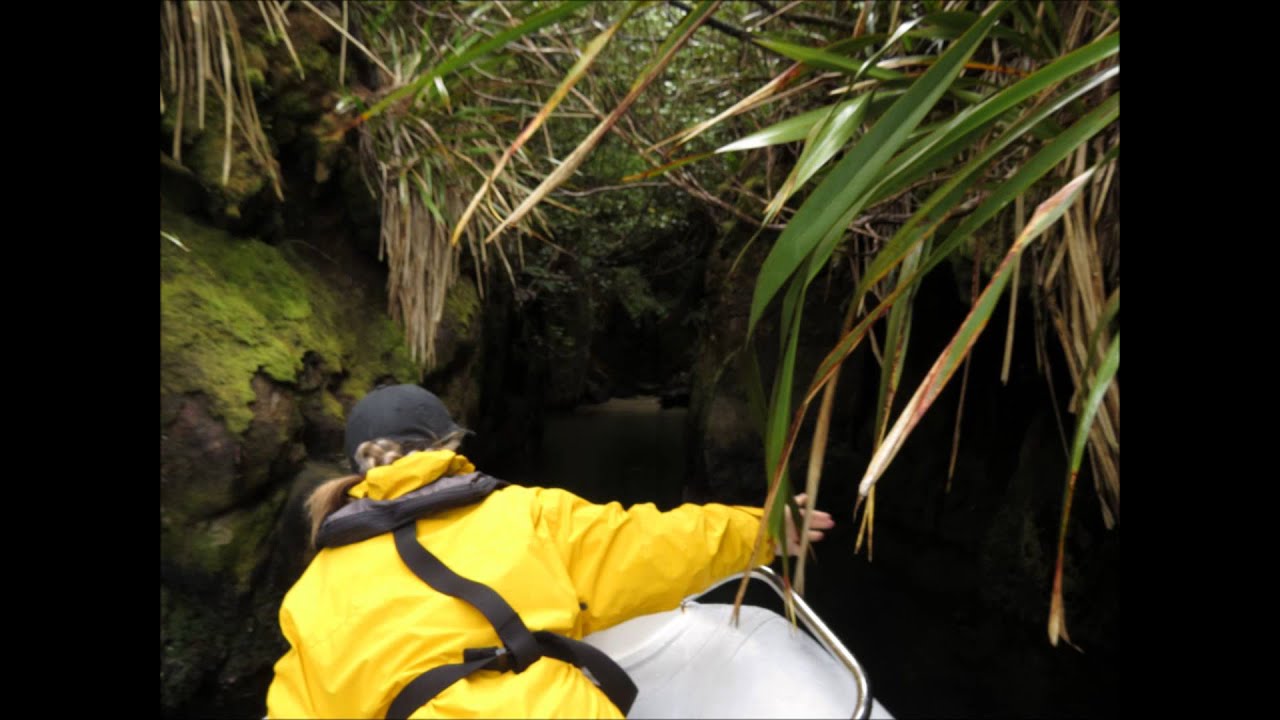 Smugglers Cove, Port Pegasus, Stewart Island - YouTube