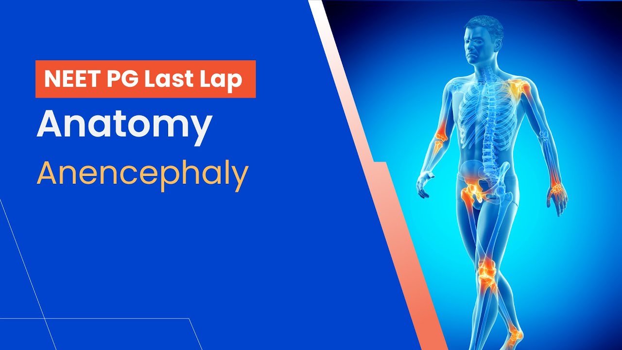 Anatomy - Anencephaly - YouTube