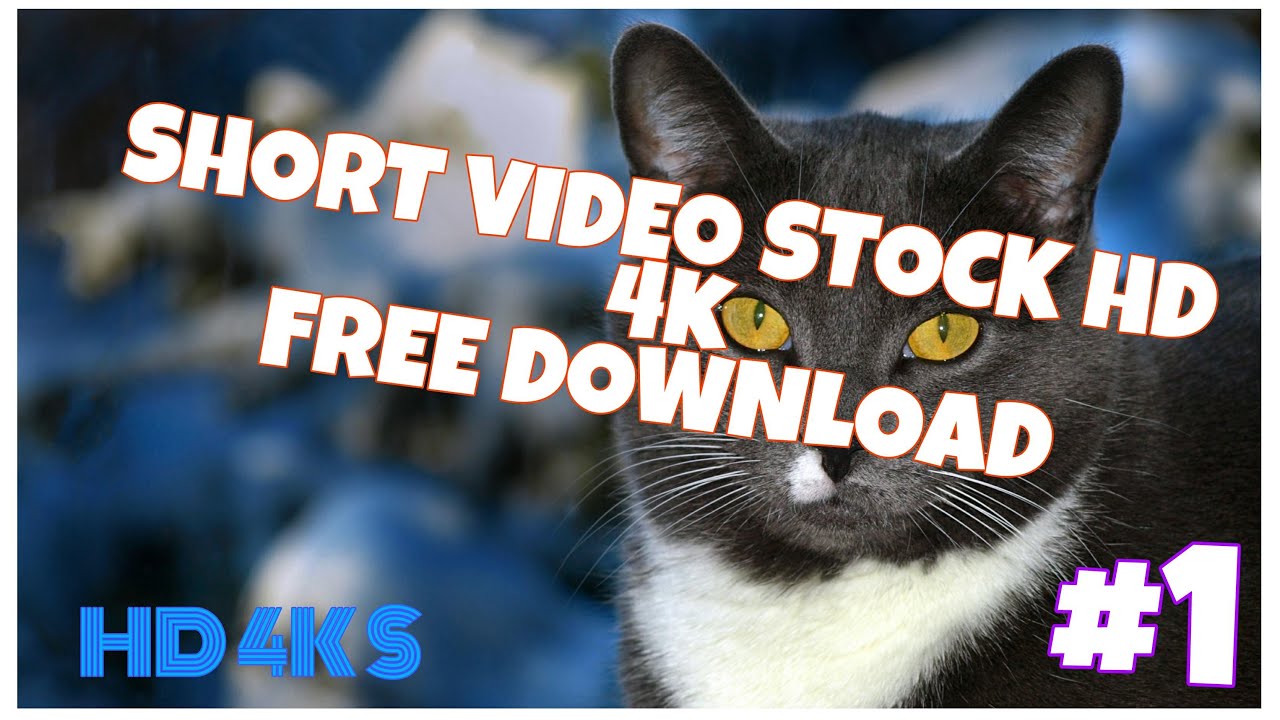 VIDEO HD 4K FREE DOWNLOAD #PART1 - YouTube