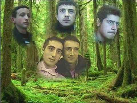volki