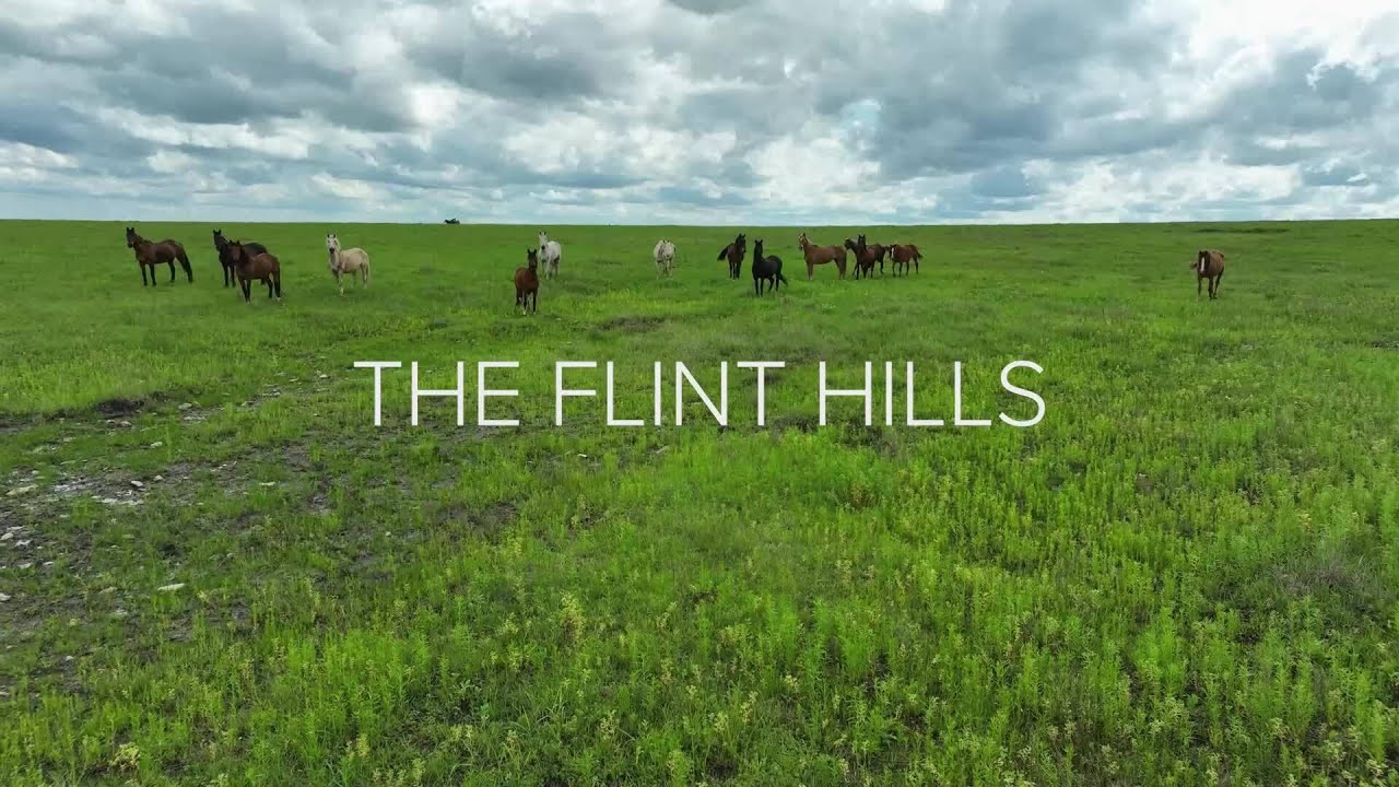 'Mysteries of the Tallgrass' teaser trailer by Nick Abt - YouTube