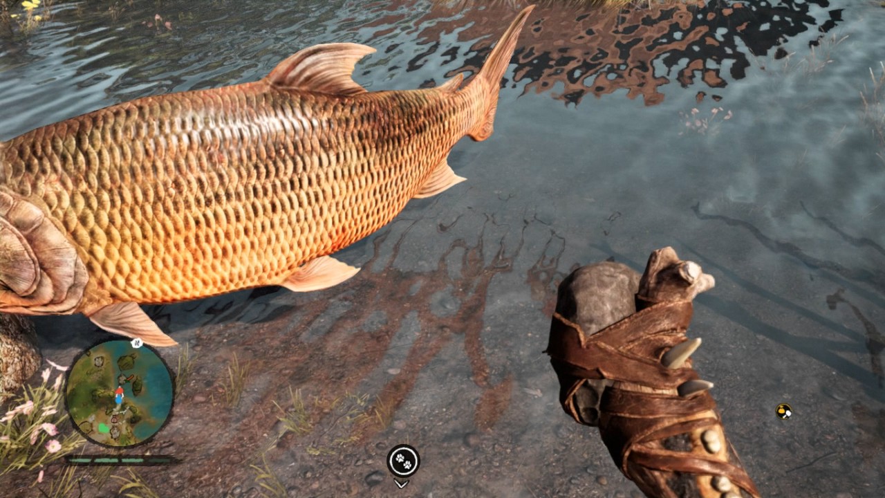 Far Cry Primal bug - YouTube