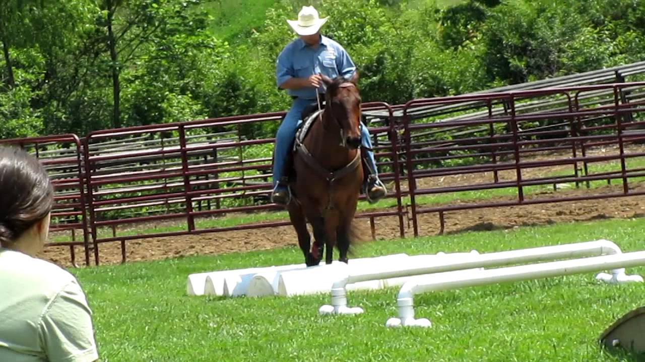 Ranch Trail Class on May 19, 2012 - YouTube