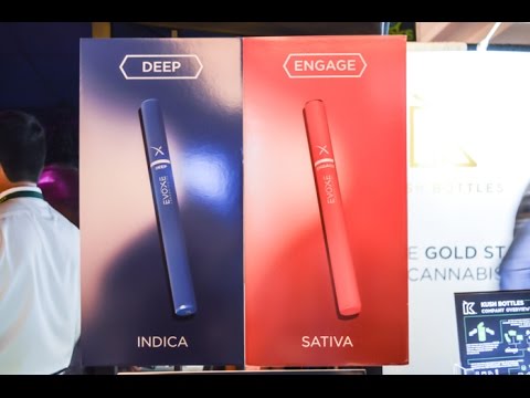 High Finance Meets: Evoxe Labs - YouTube