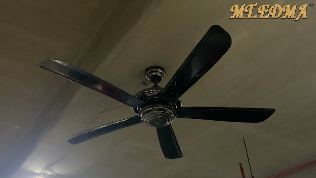 3 MT. EDMA Contractor 54” Remote Ceiling Fans | 2023 Update | Public ...