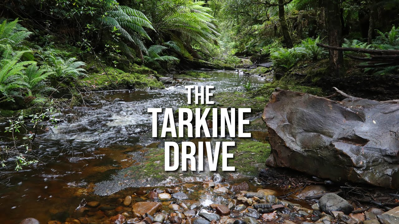 The Tarkine Drive - YouTube