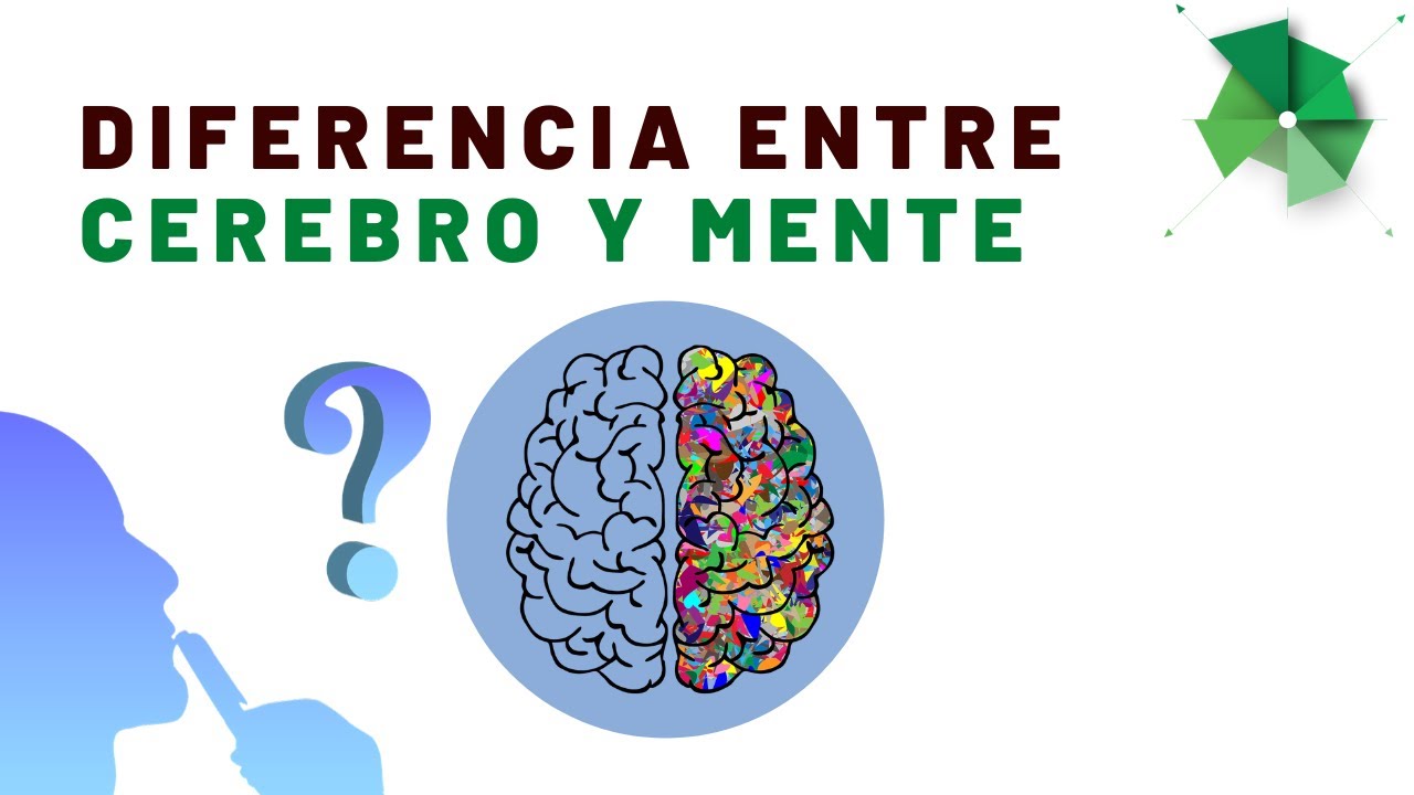 La diferencia entre el Cerebro 🧠 y la Mente - YouTube