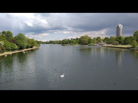 LONDON AFTER RAIN [4K60FPS], RELAXED LONDON WALK #asmr #birdsounds # ...