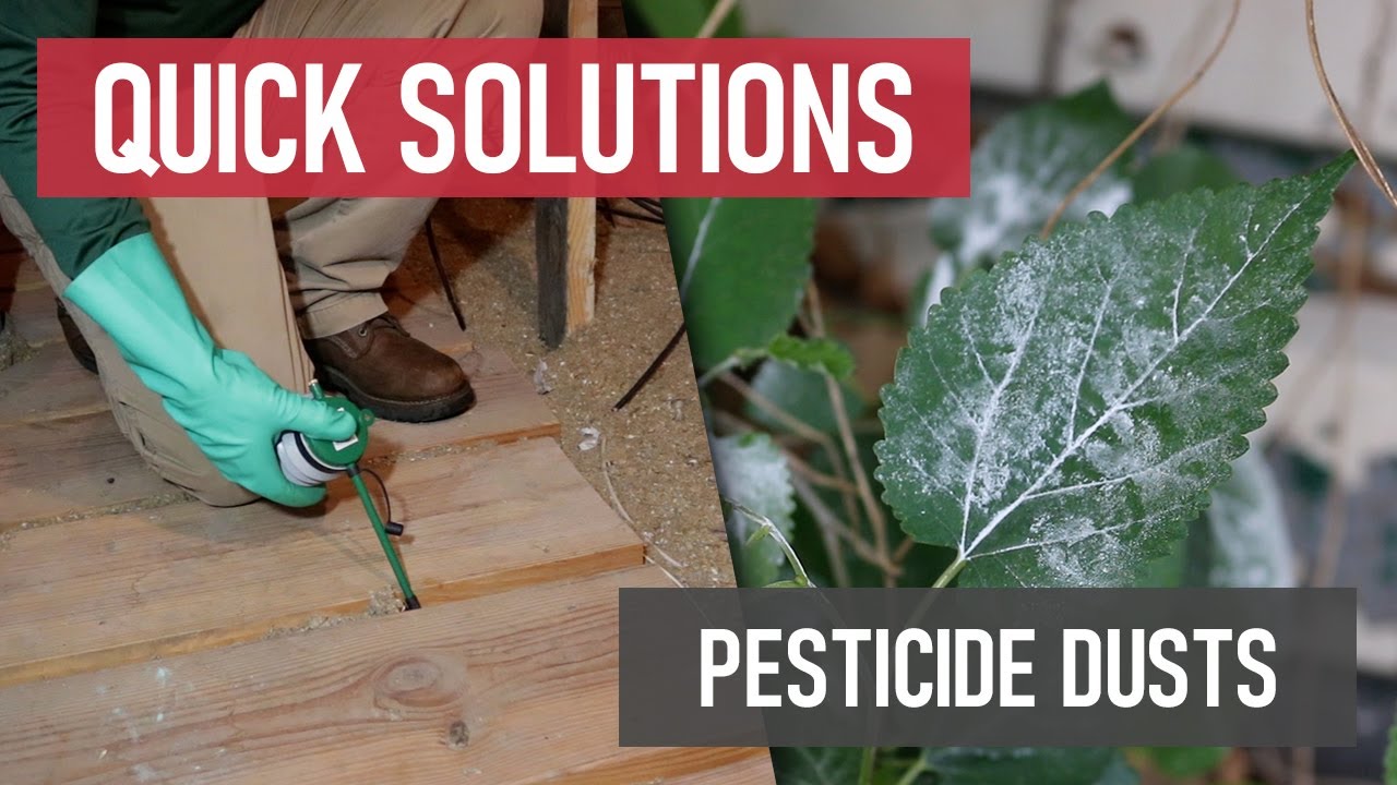 Quick Solutions: How to Use Pesticide Dusts - YouTube