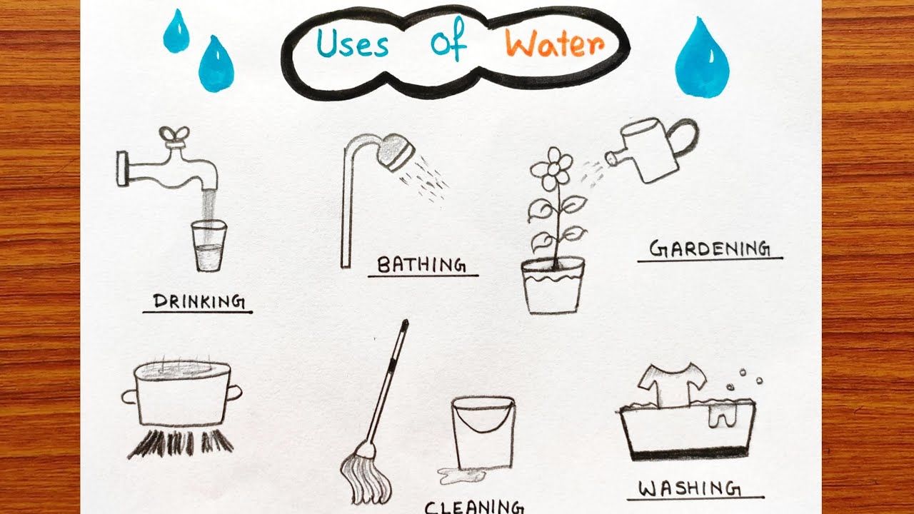 Water use sketch drawing | Uses of water school sketch | How to use ...
