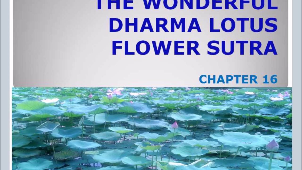 Lotus Sutra Chapter 16 - YouTube