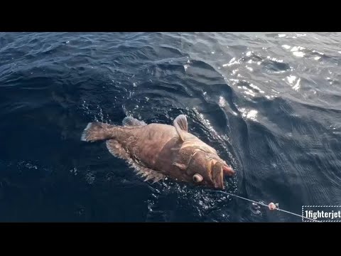 45lb GROUPER CAUGHT WHILE DEEP DROP FISHING 🎣 - YouTube