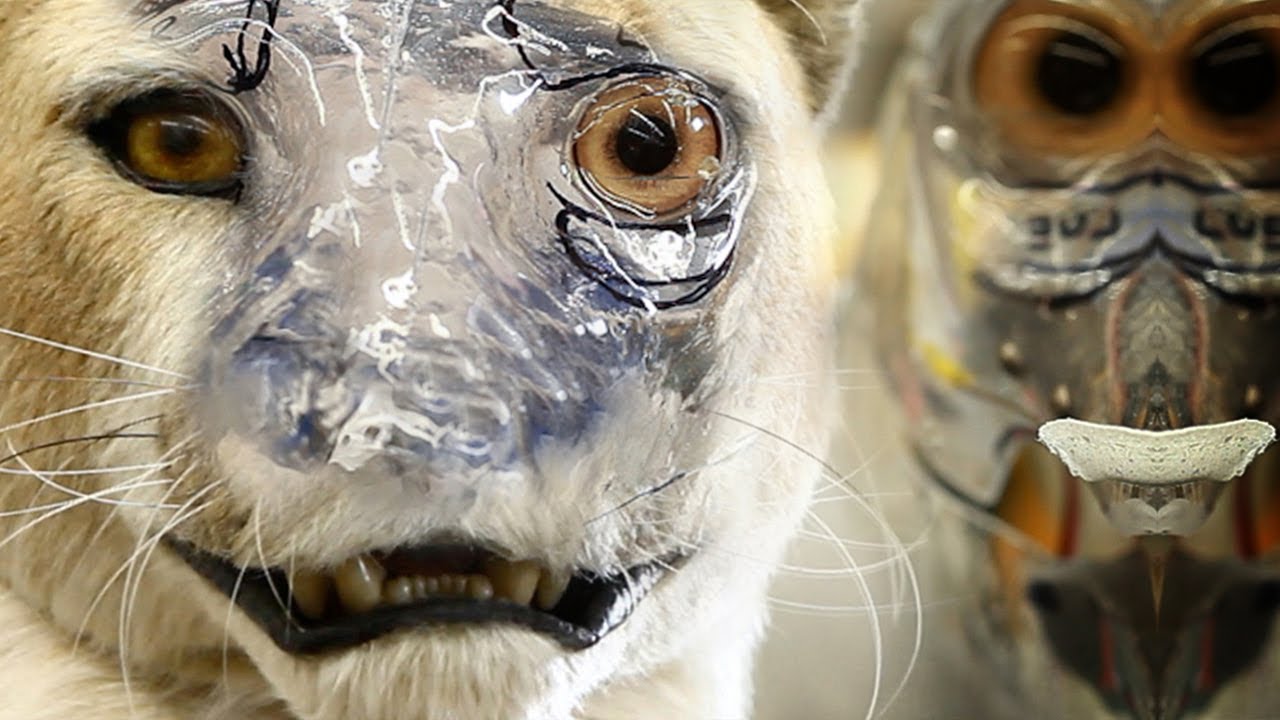 Animatronic Animals No Skin