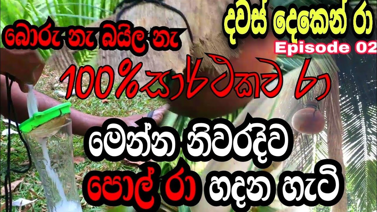 pol ra | Coconut arrack makeing || Coconut toddy | wishma lokaya - YouTube
