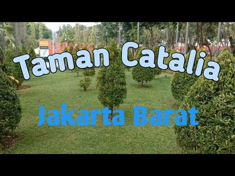 taman catalia #hutankotajakarta - YouTube