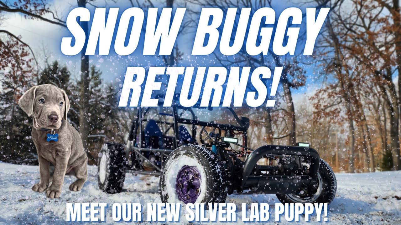 SNOW BUGGY RETURNS!!! Sliding Around in February Snow!!! Meet Our New ...