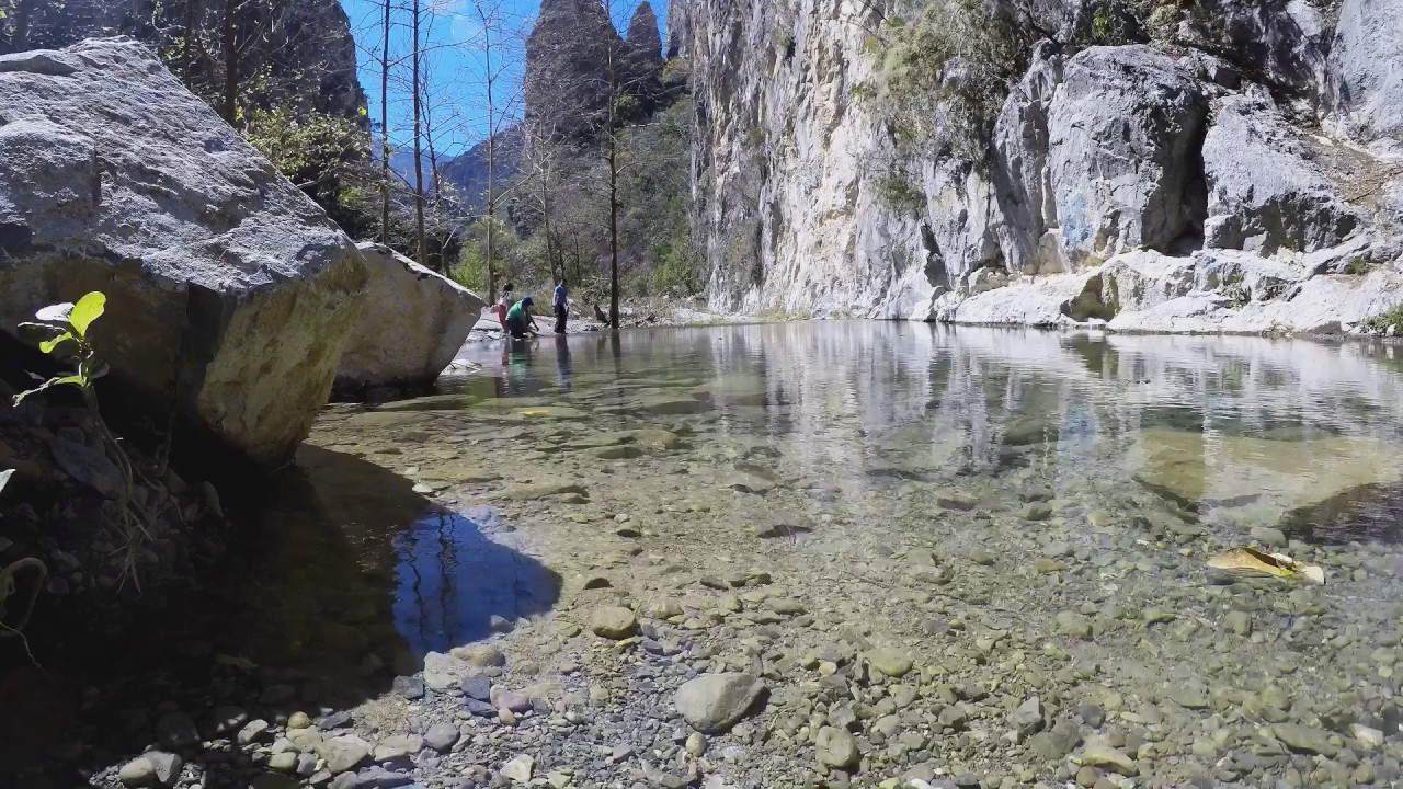 Paso Lobos Bueno - YouTube