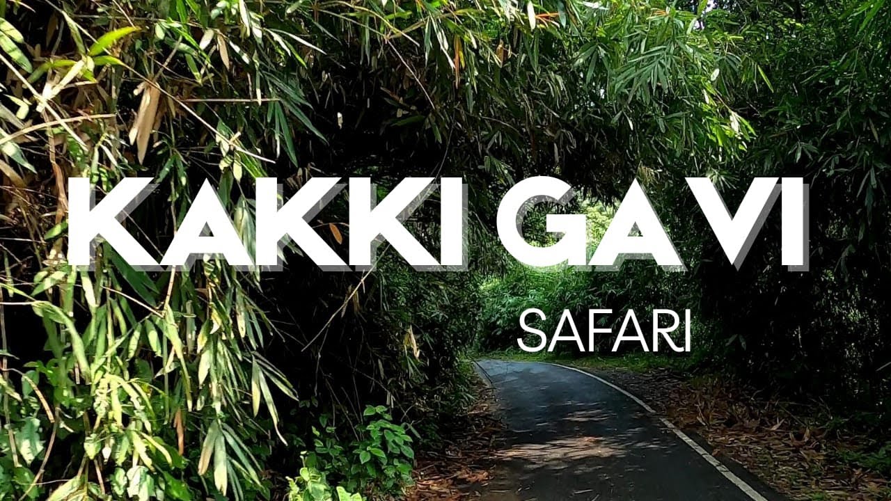 KAKKI GAVI SAFARI / GAVI ECOTOURISM / PATHANAMTHITTA GAVI SAFARI - YouTube