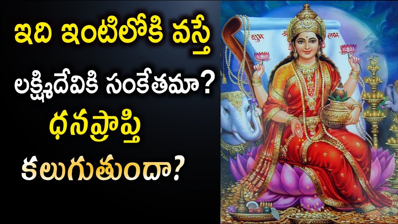 ఇది ఇంటిలోకి వస్తే లక్ష్మిదేవికి సంకేతమా? ధనప్రాప్తి కలుగుతుందా? owl ...