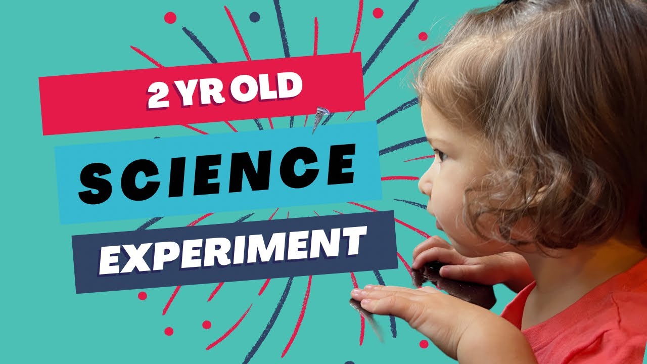 Easy Sink or Float Science Experiment for Toddlers | Defy Gravity Trick ...