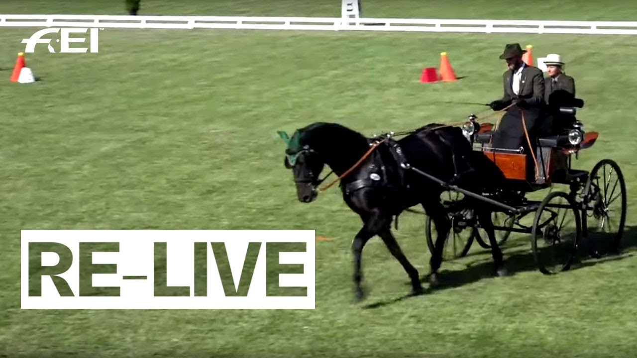 RE-LIVE | Driving (Dressage, Cone) | Day 2 Morning | FEI Driving World ...