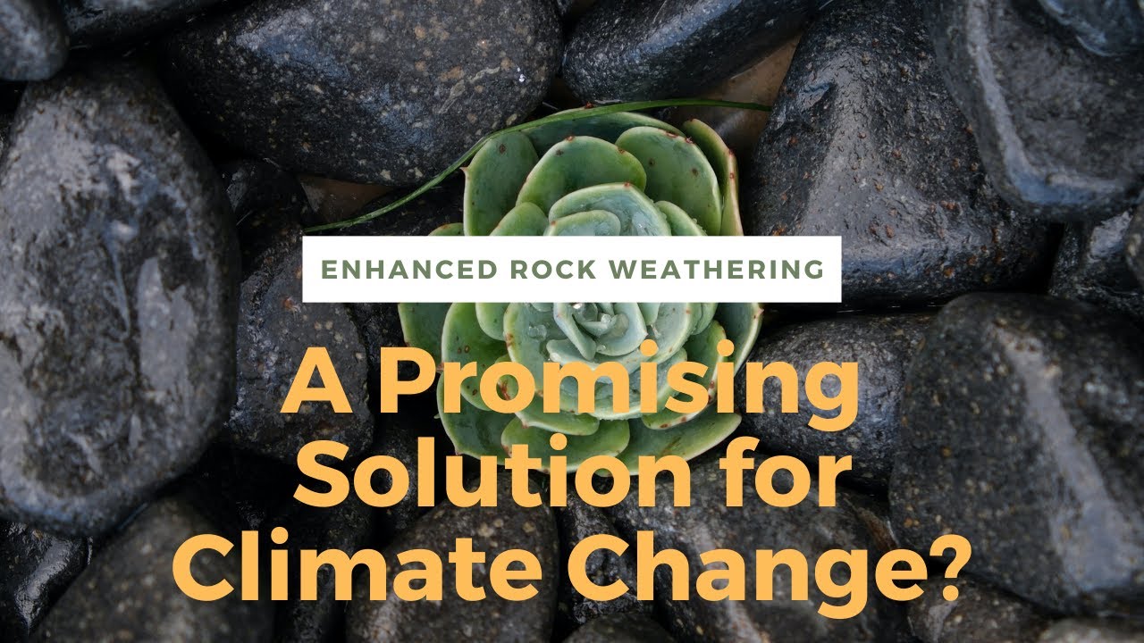 Enhanced Rock Weathering: A Promising Solution for Climate Change ...