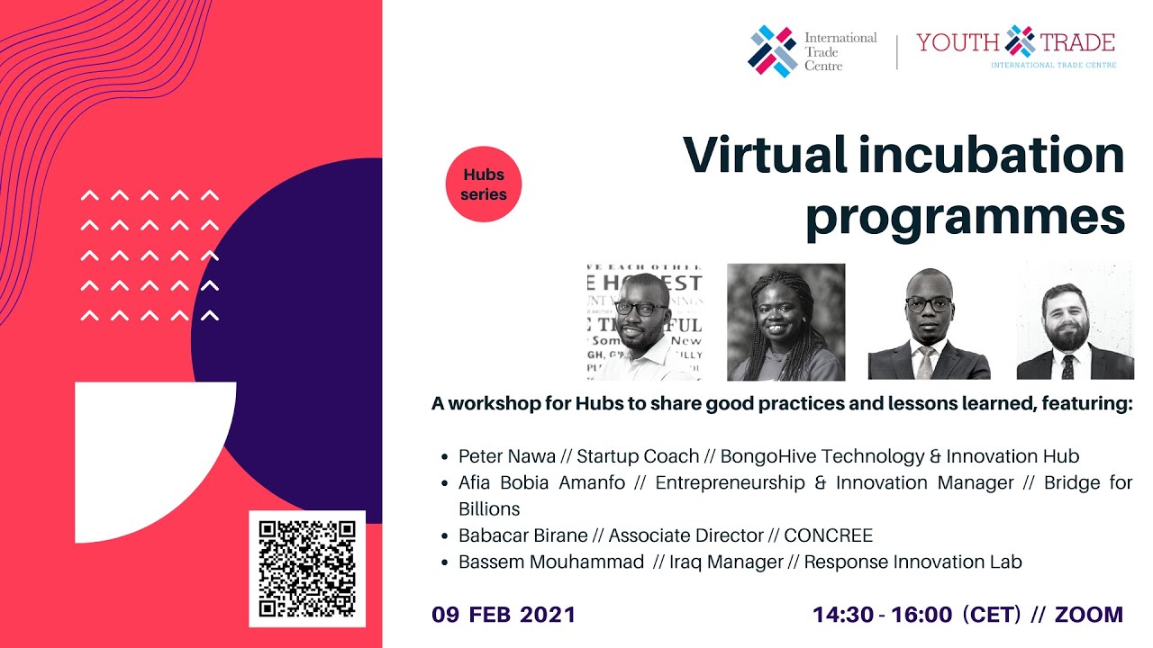 Virtual incubation programmes - Hubs series workshop - YouTube