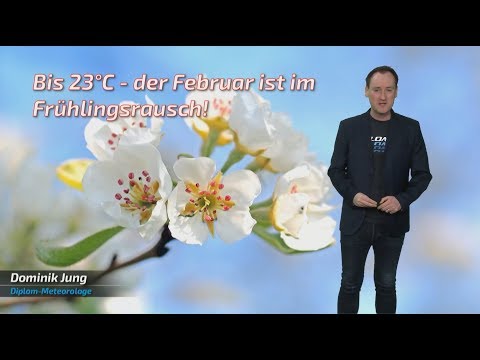 Der Februar 2019 ist im Frühlingsrausch - am Mittwoch bis 23 Grad warm! (Mod.: Dominik Jung)