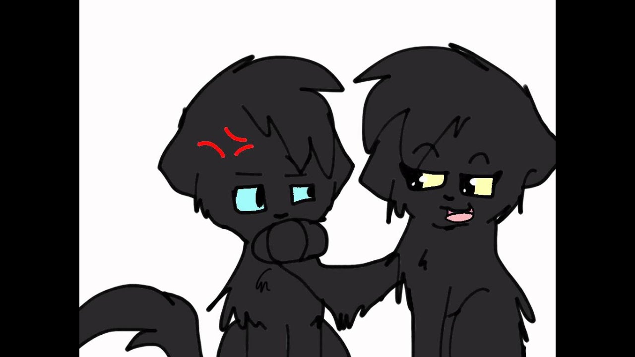 Warrior Cats Leafpool And Crowfeather Mating Klan Strumienia