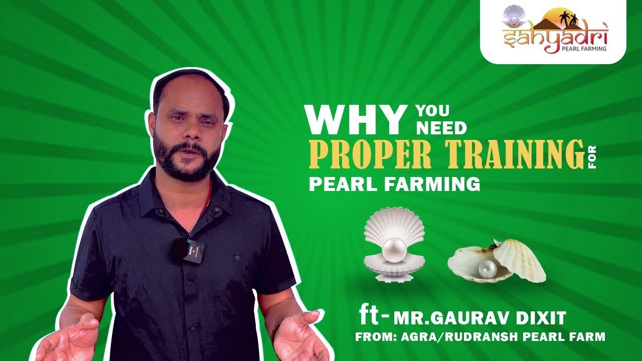 Why You Need Pearl Farming Training: Essential Tips from Sahyadri Pearl ...